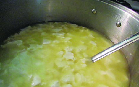 What Are Cheese Curds, and How to Make Them - Grit